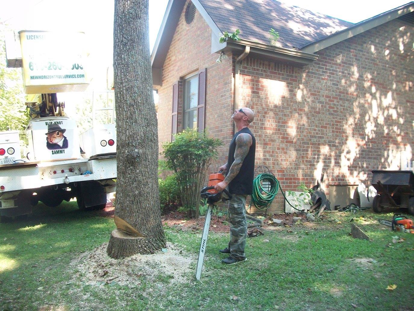 Locations - Arborist Action Tree Services